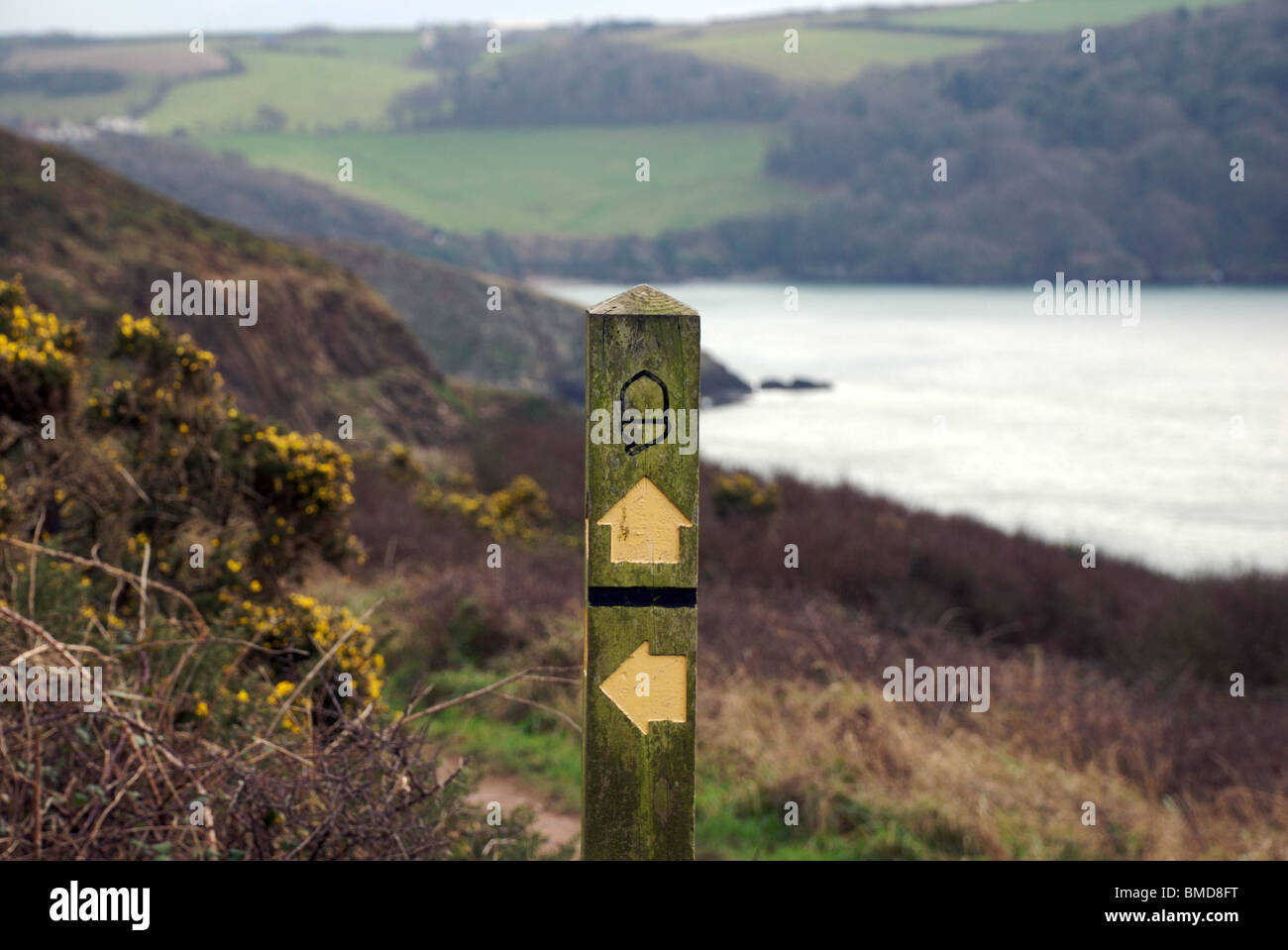 Acorn symbol and arrows on footpath sign, near Newton Ferrers, Devon ...