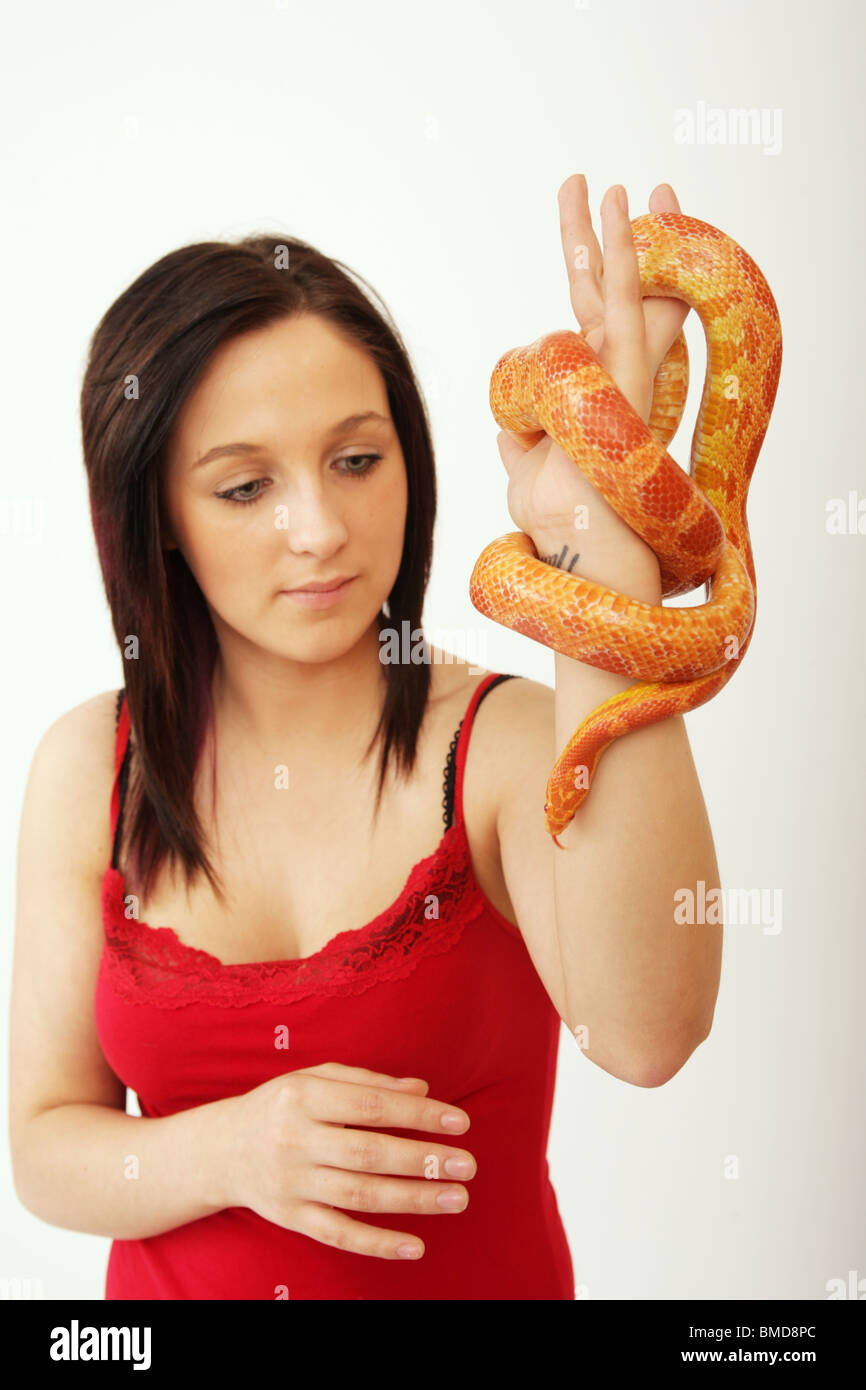 A Woman looking at a corn snake held in her hand Stock Photo - Alamy