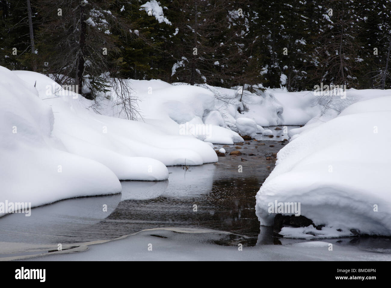 Meadow Brook during the winter months. Located along the Sawyer River ...