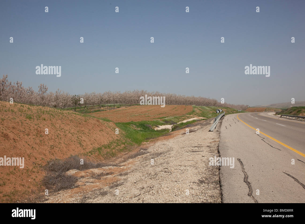 Negev region hi-res stock photography and images - Alamy