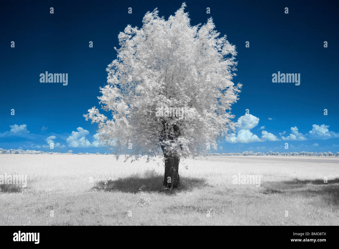 Landscape - photography in infrared Stock Photo - Alamy