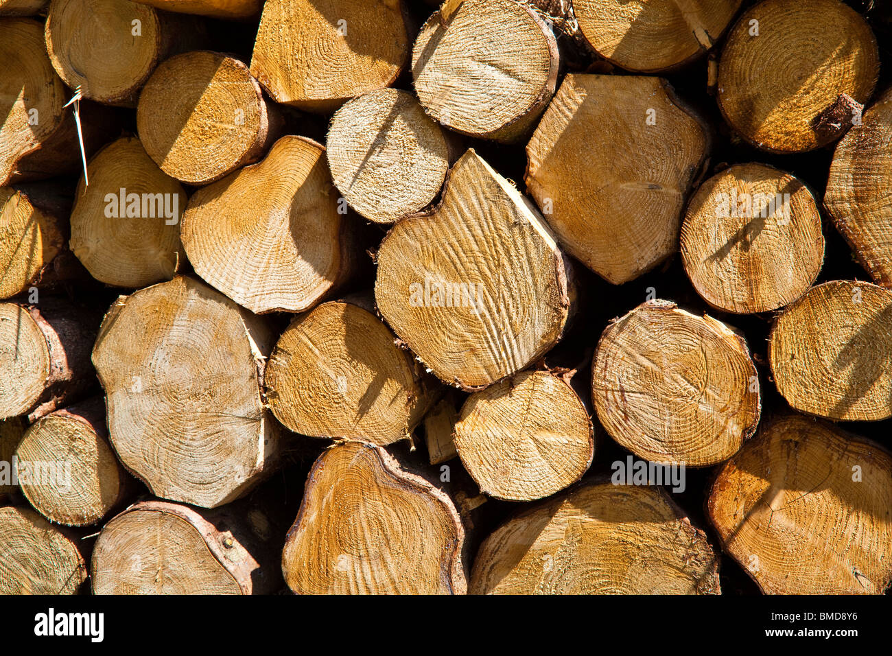Stack of felled tree trunks Stock Photo - Alamy