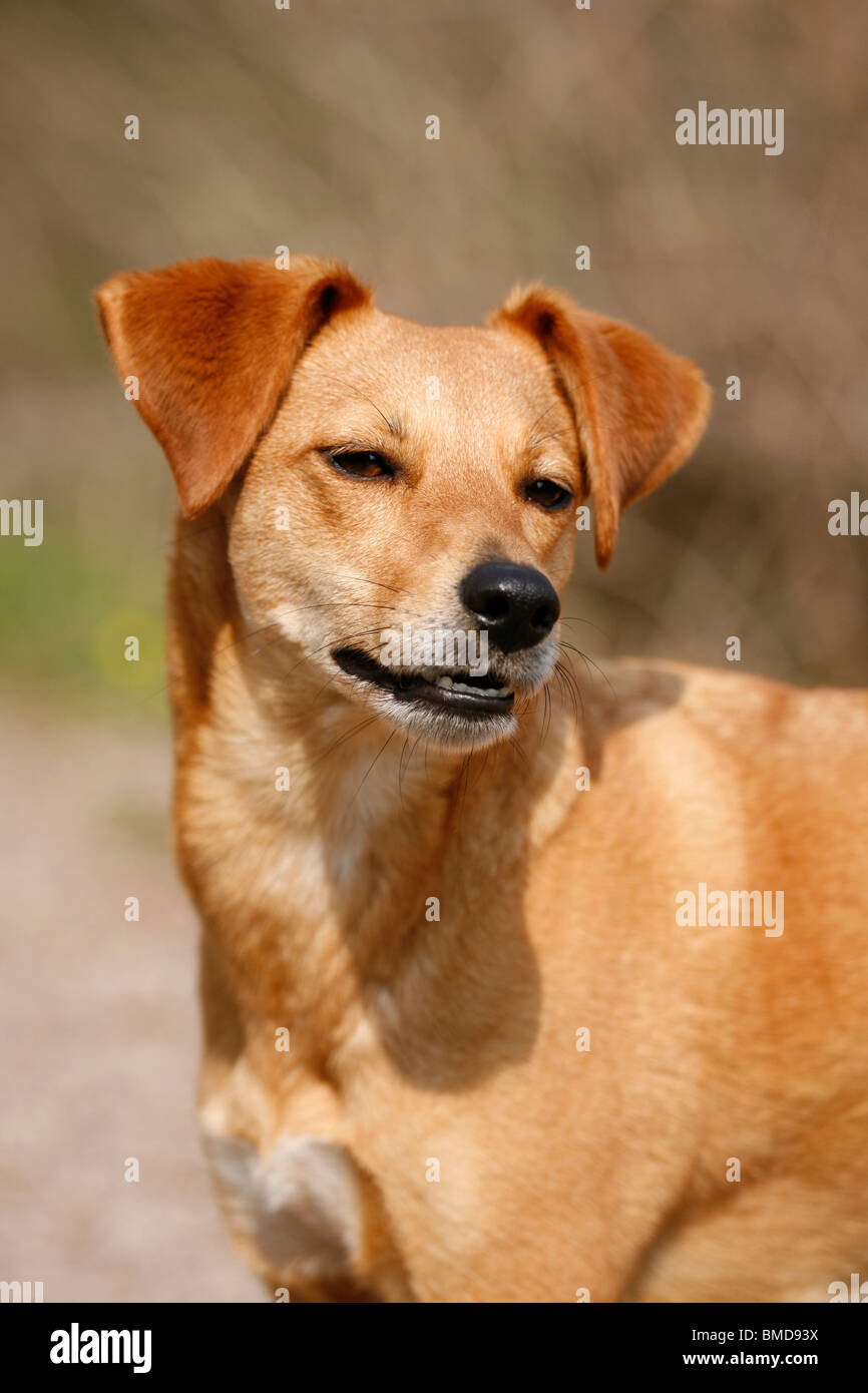 11605 hi-res stock photography and images - Alamy