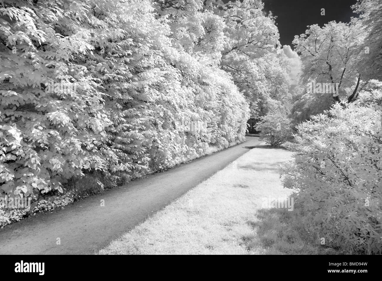 Landscape - photography in infrared Stock Photo - Alamy
