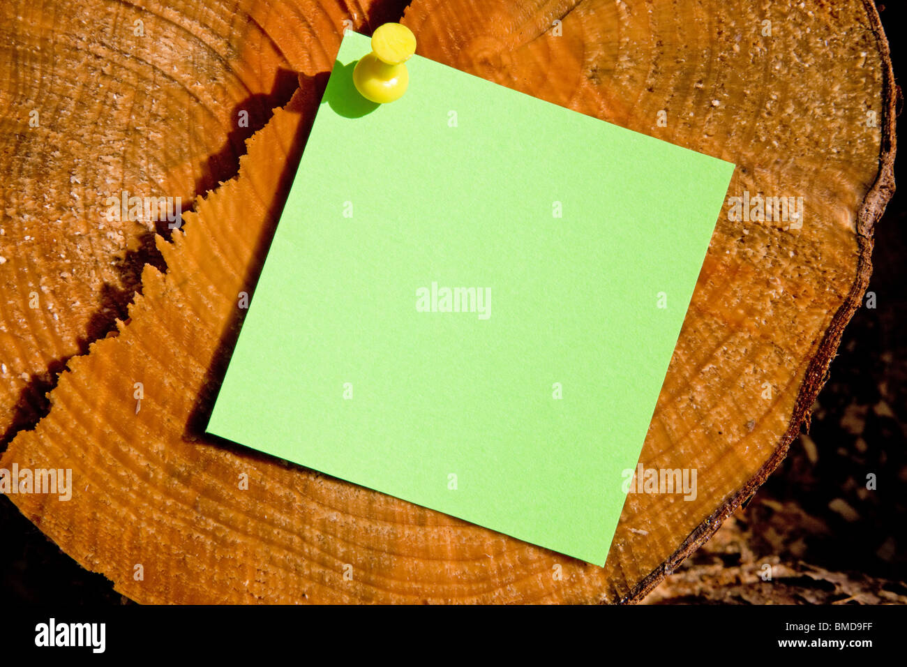 A post-it note on a tree trunk with leaf shadows Stock Photo - Alamy