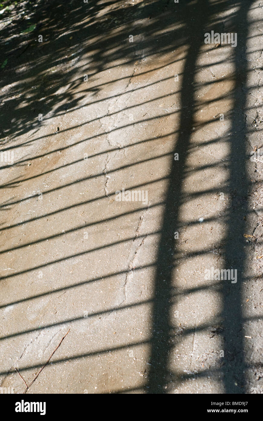 Iron fence shadow on the asphalt Stock Photo - Alamy