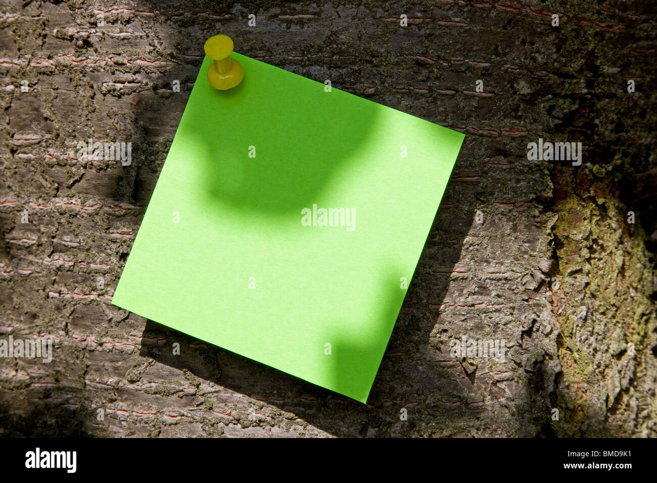 A post-it note on a tree trunk with leaf shadows Stock Photo - Alamy