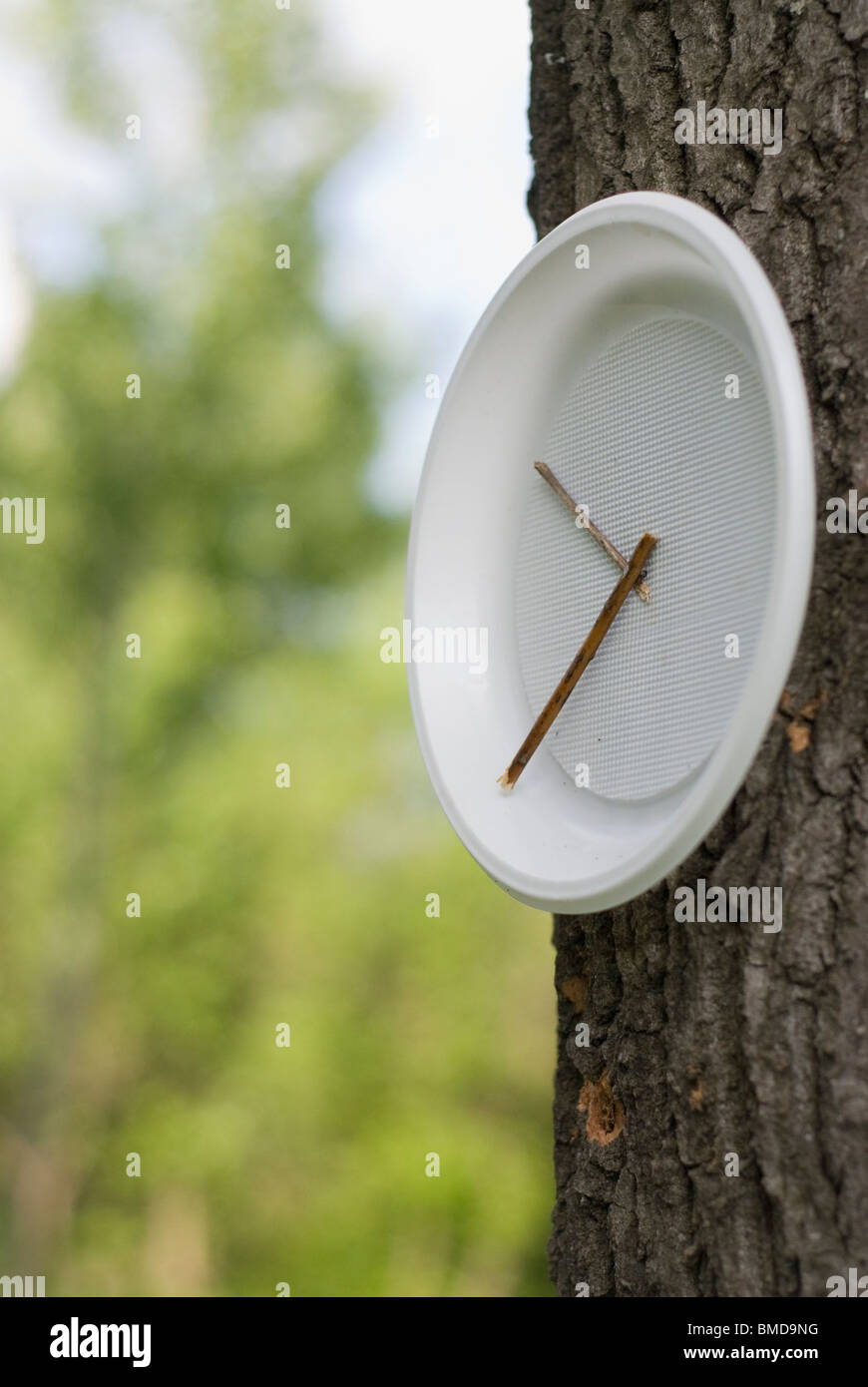 Plastic plate as clock on the tree trunk Stock Photo - Alamy