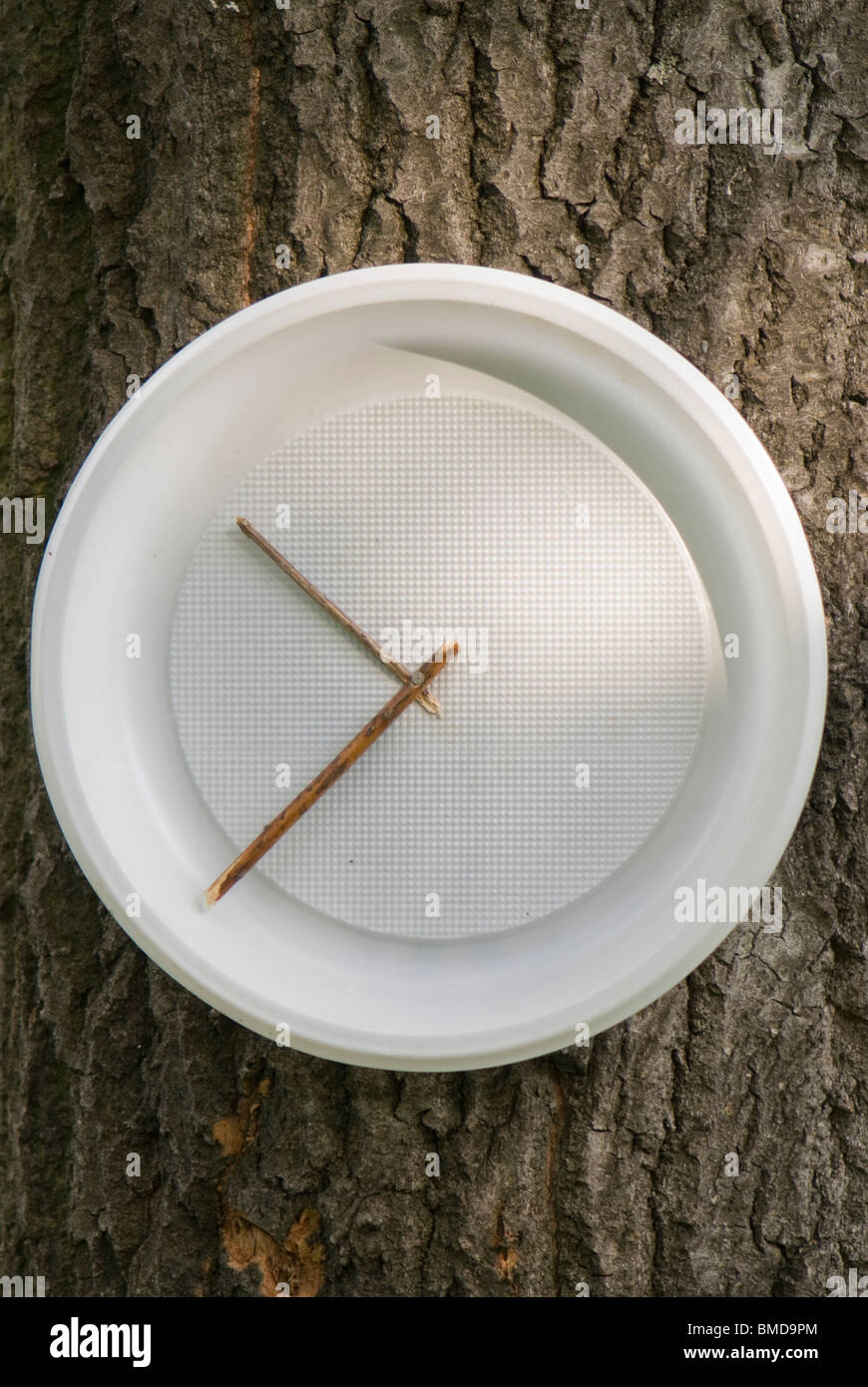 Plastic plate hi-res stock photography and images - Alamy