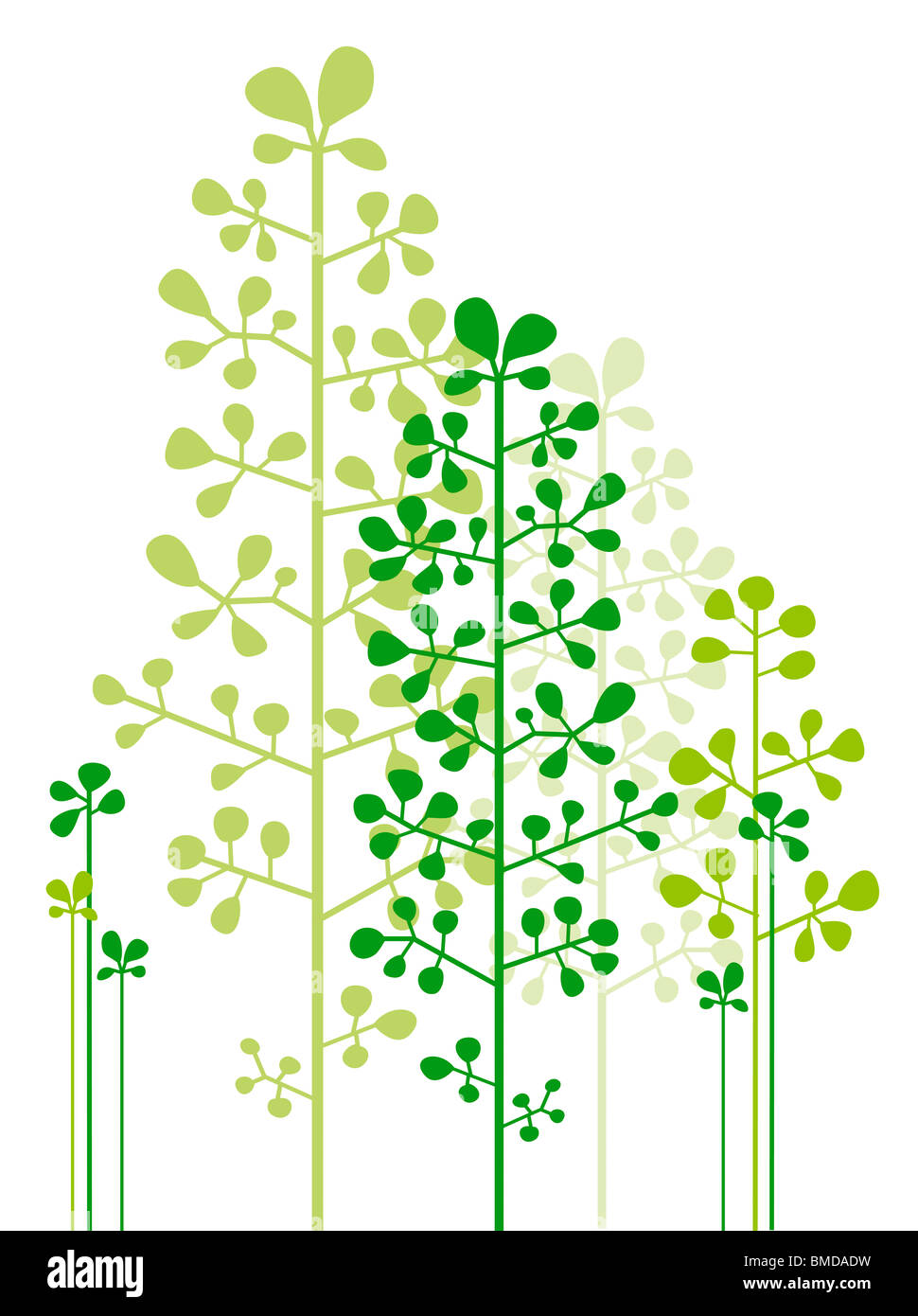 Green forest trees tree Cut Out Stock Images & Pictures - Alamy