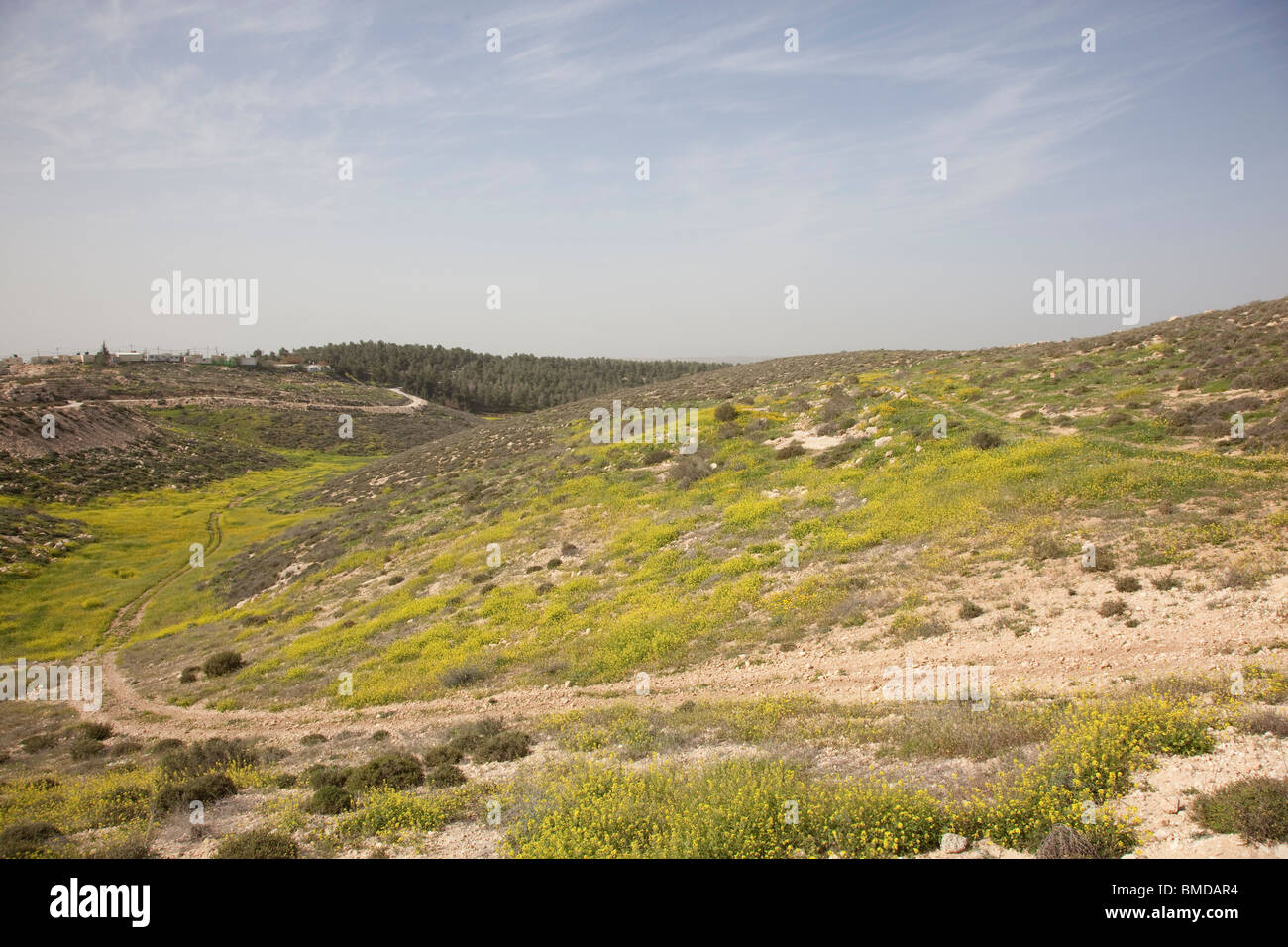 Negev region hi-res stock photography and images - Alamy