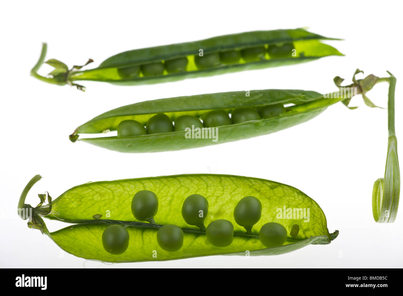 Open pea hi-res stock photography and images - Alamy