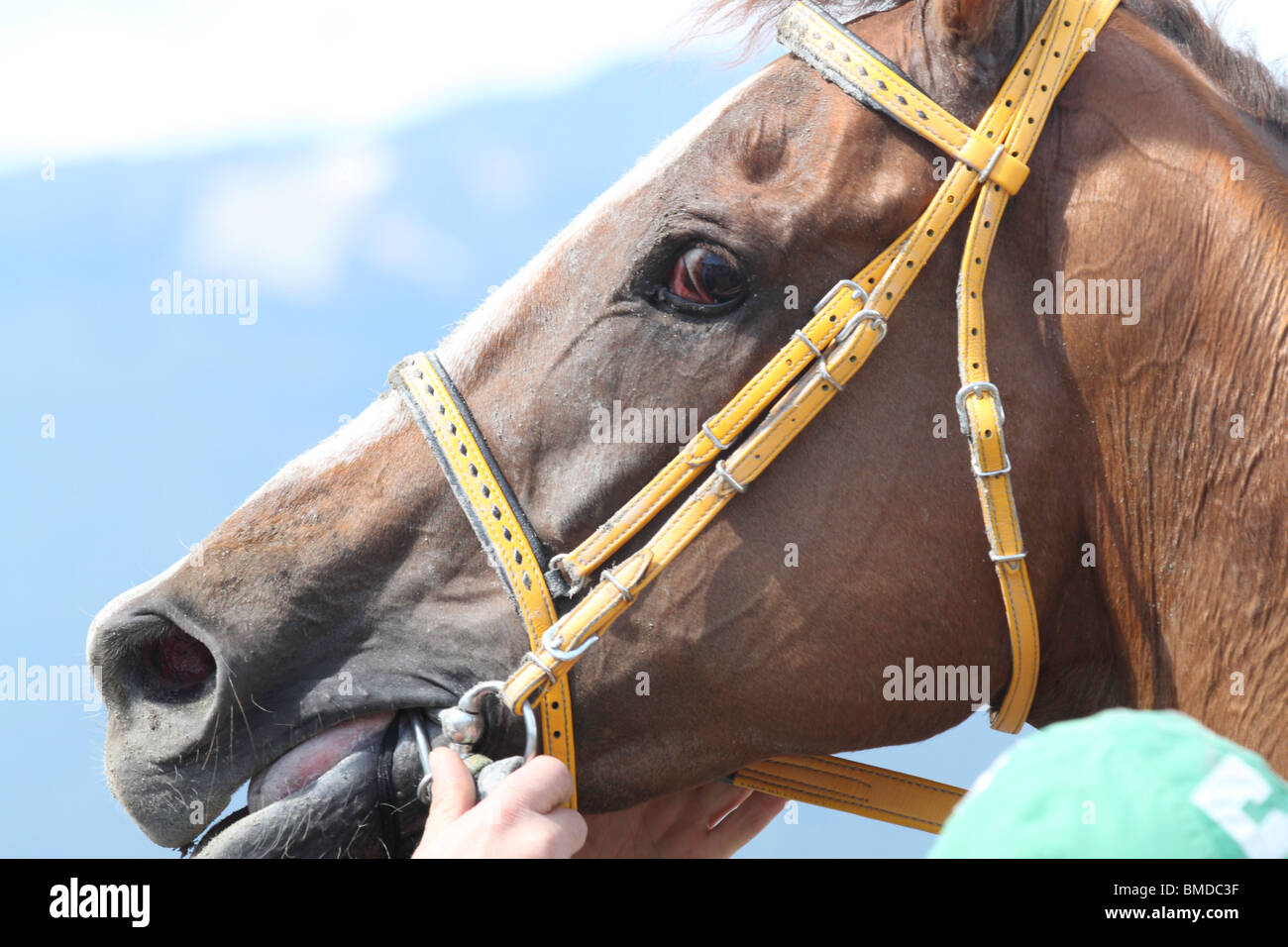Being held back hi-res stock photography and images - Alamy