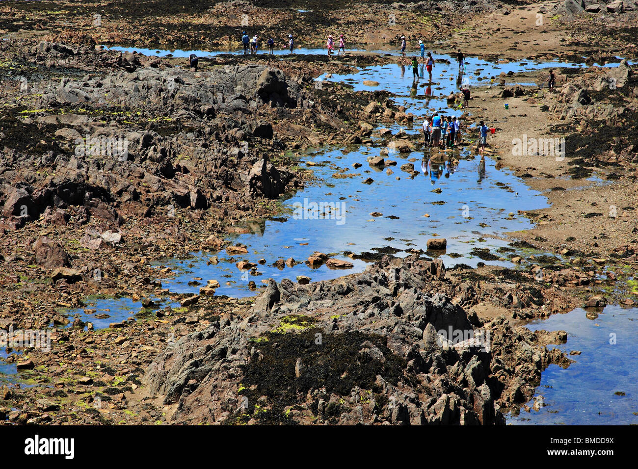Children rockpooling hi-res stock photography and images - Alamy