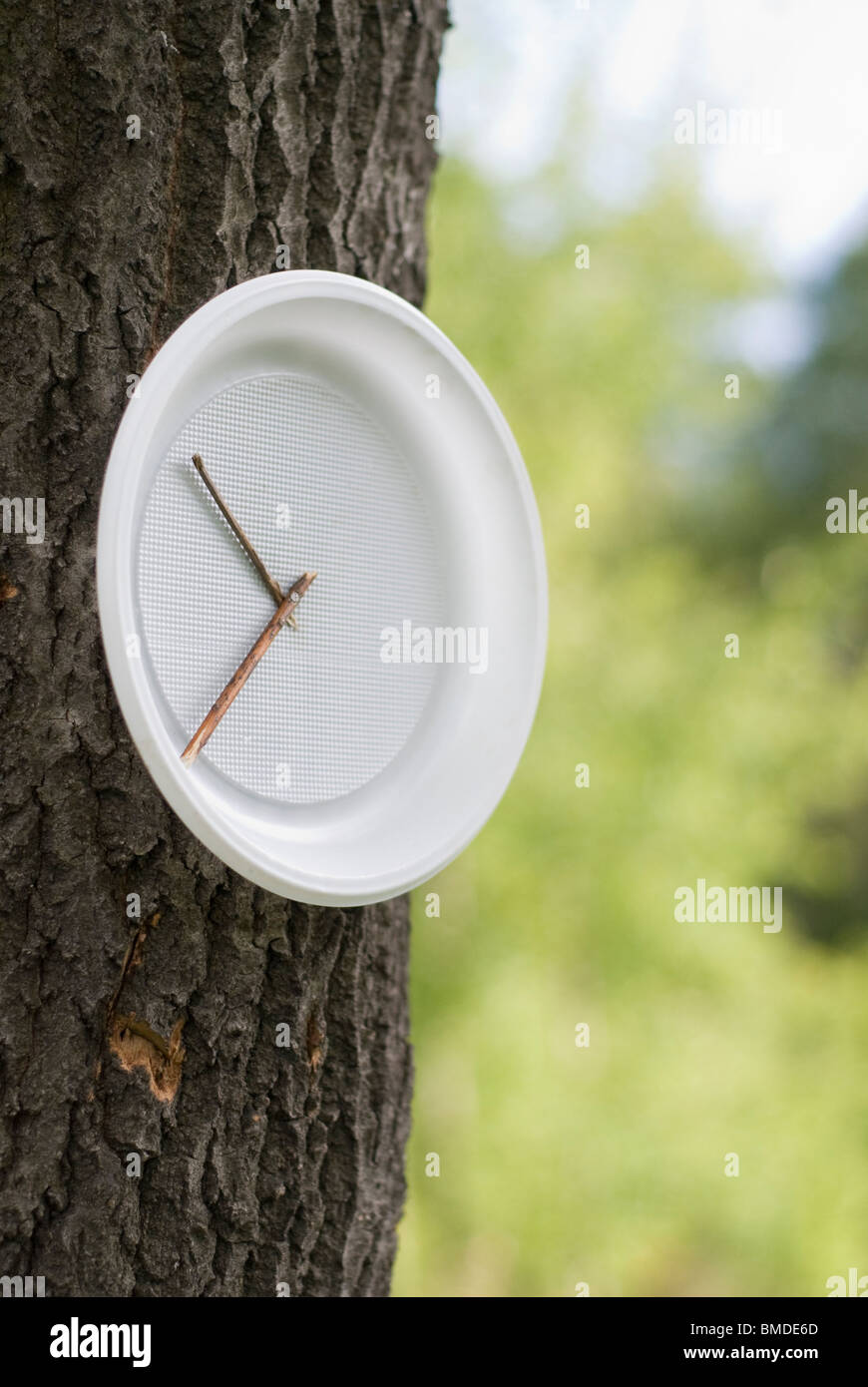 Plastic plate as clock on the tree trunk Stock Photo - Alamy