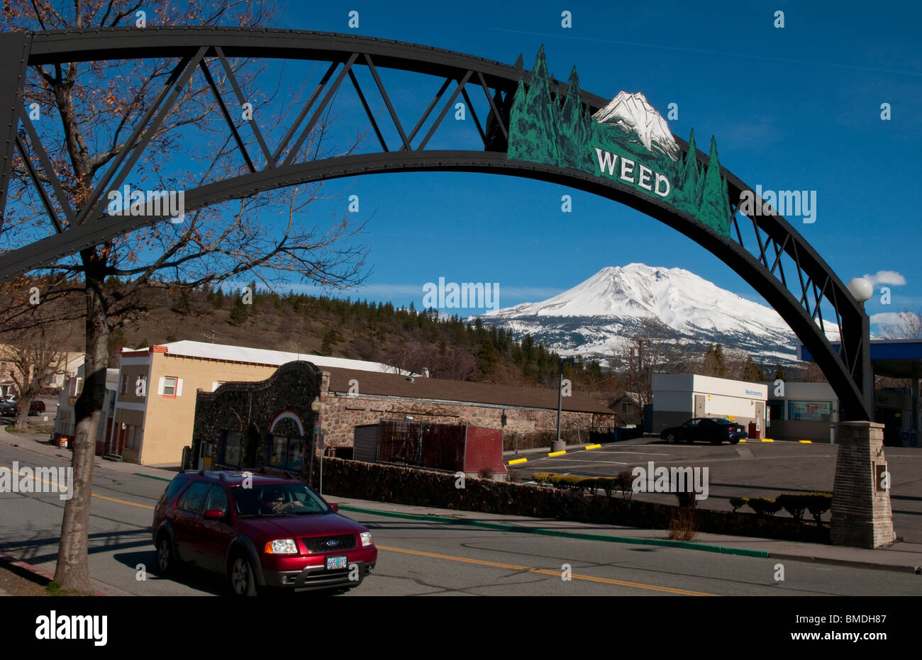 Weed california hi-res stock photography and images - Alamy