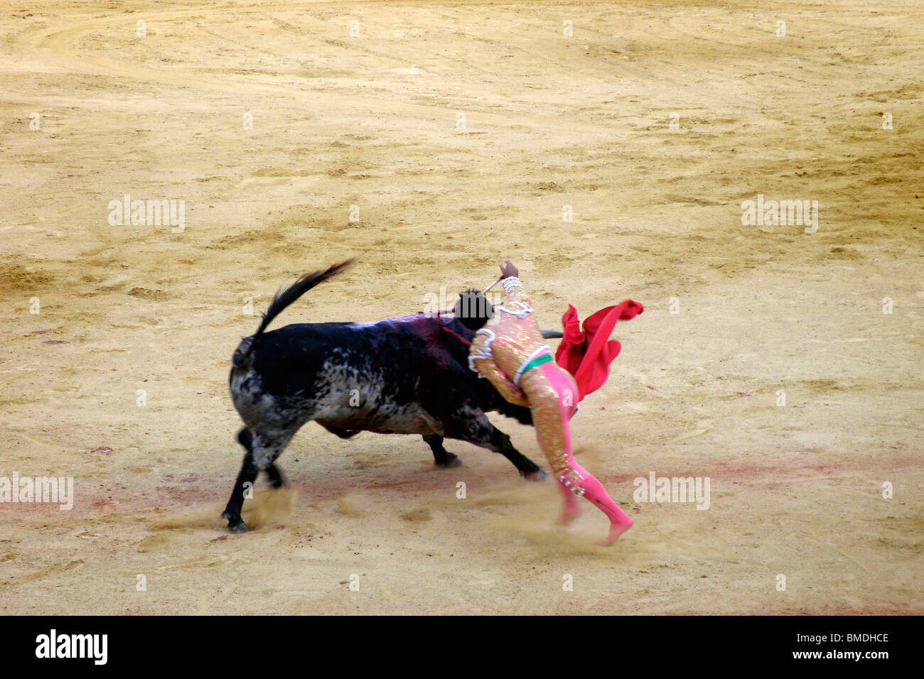 Bullfighting, Plaza de Toros, Seville, Spain Stock Photo - Alamy