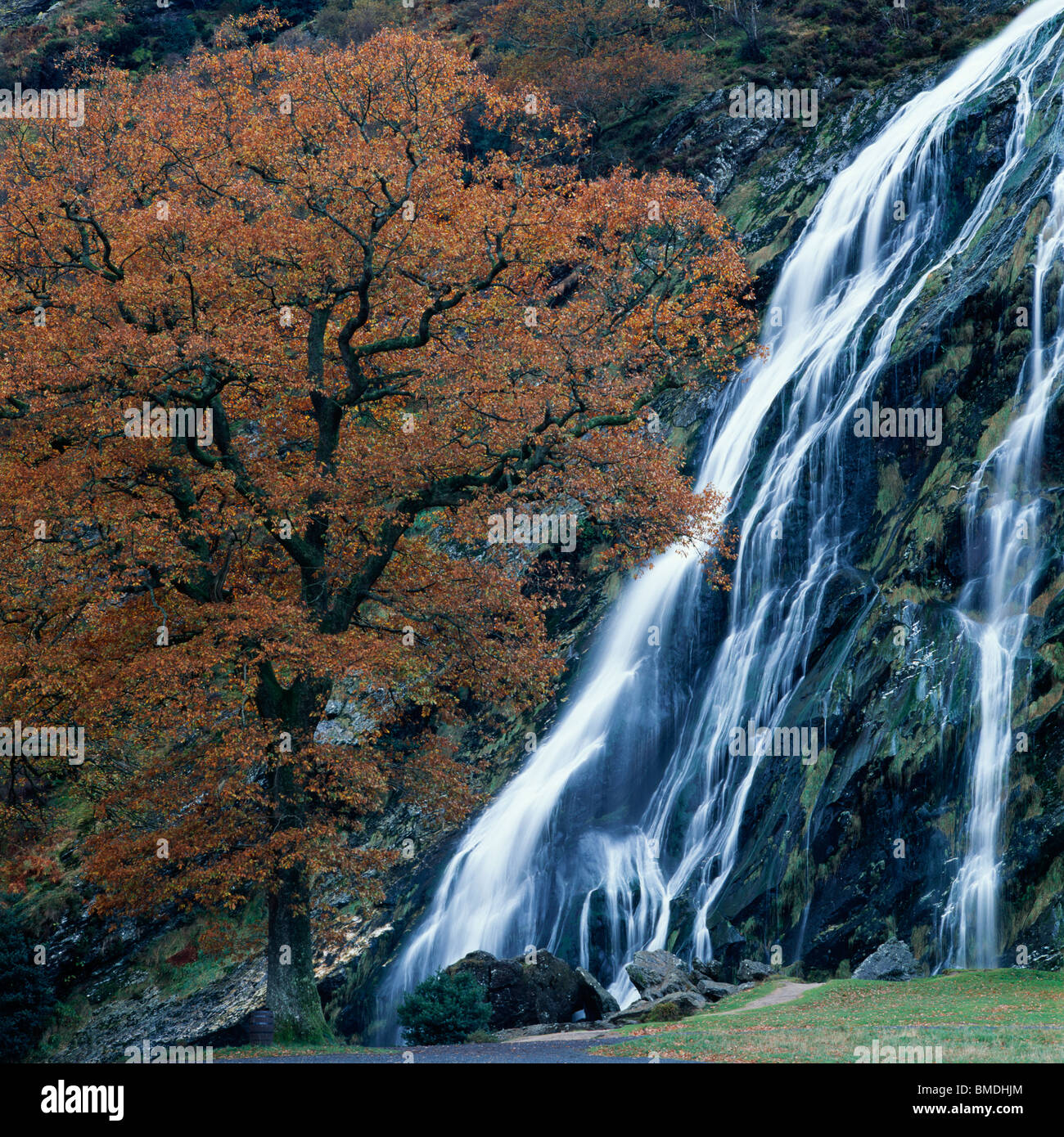 Near enniskerry county wicklow ireland hi-res stock photography and ...