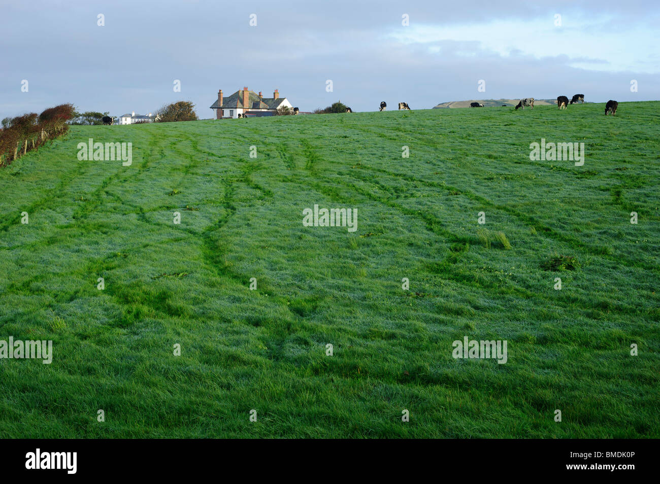 Bushmills, County Antrim, Northern Ireland Stock Photo - Alamy