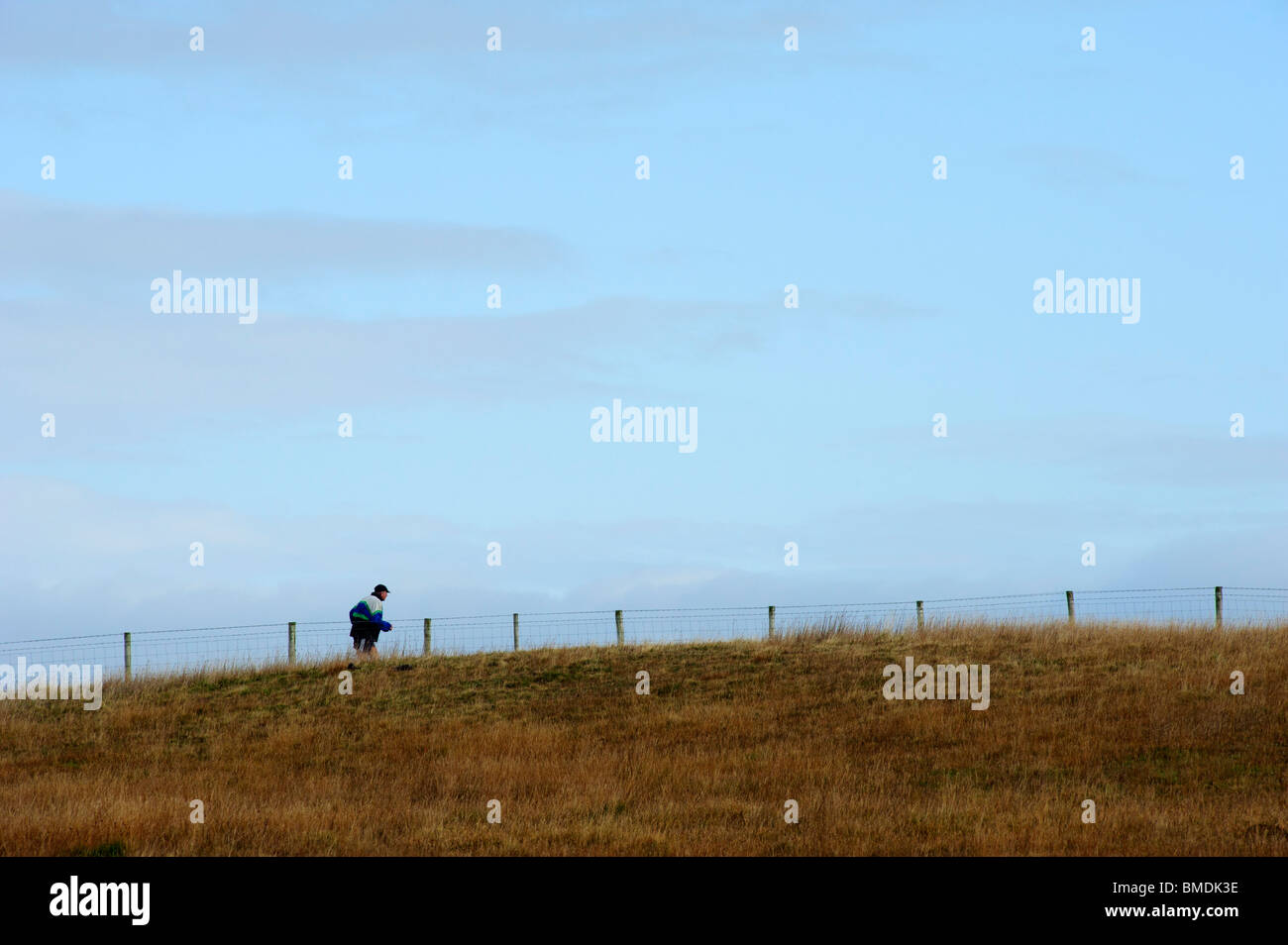 Causeway Coast Marathon, Bushmills, County Antrim, Northern Ireland ...
