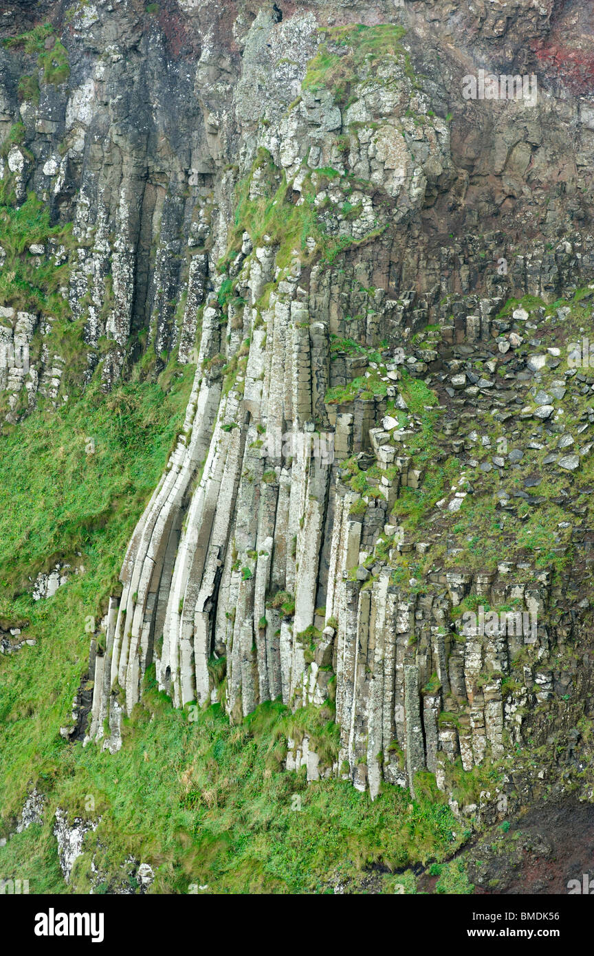 Giant's Harp, Giant's Causeway, Bushmills, County Antrim, Northern ...