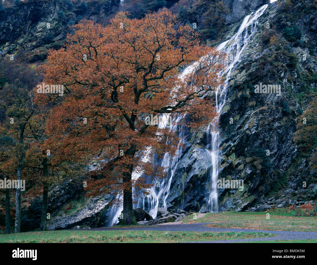 Powerscourt Waterfall near Enniskerry, County Wicklow, in Ireland Stock ...