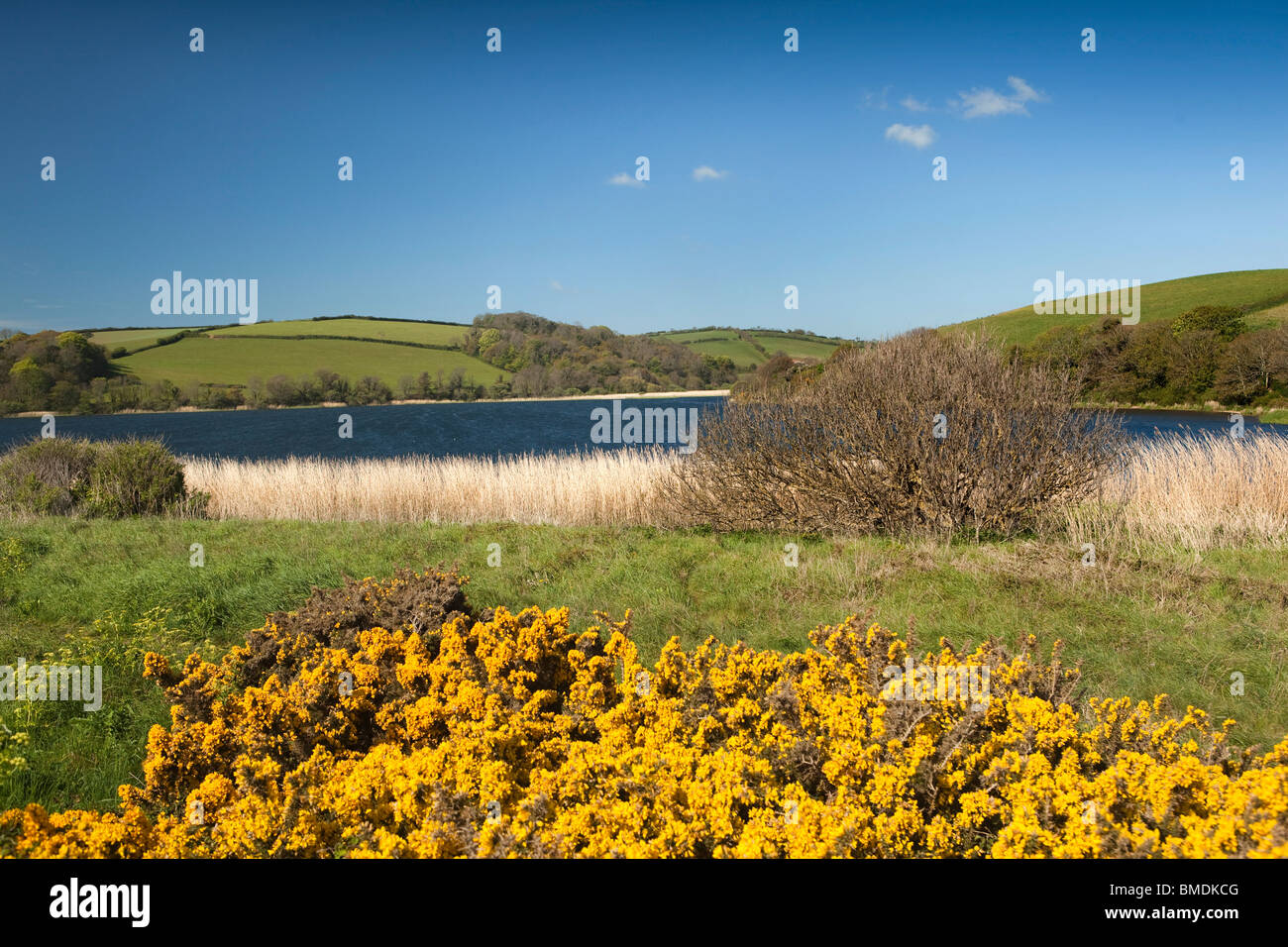 Environmental nature uk british conservation england hi-res stock ...