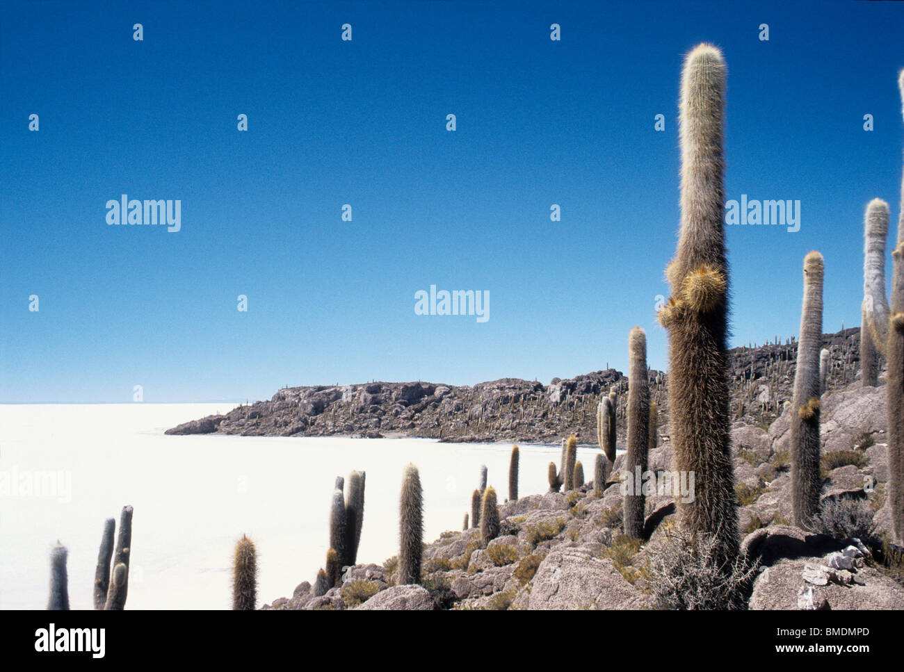 Atacama desert Bolivia South America Stock Photo - Alamy