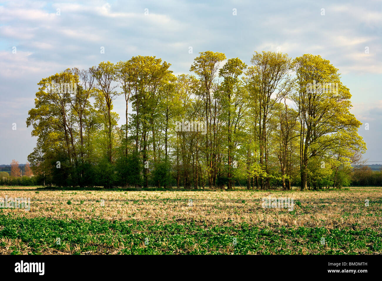 Grove oxfordshire hi-res stock photography and images - Alamy