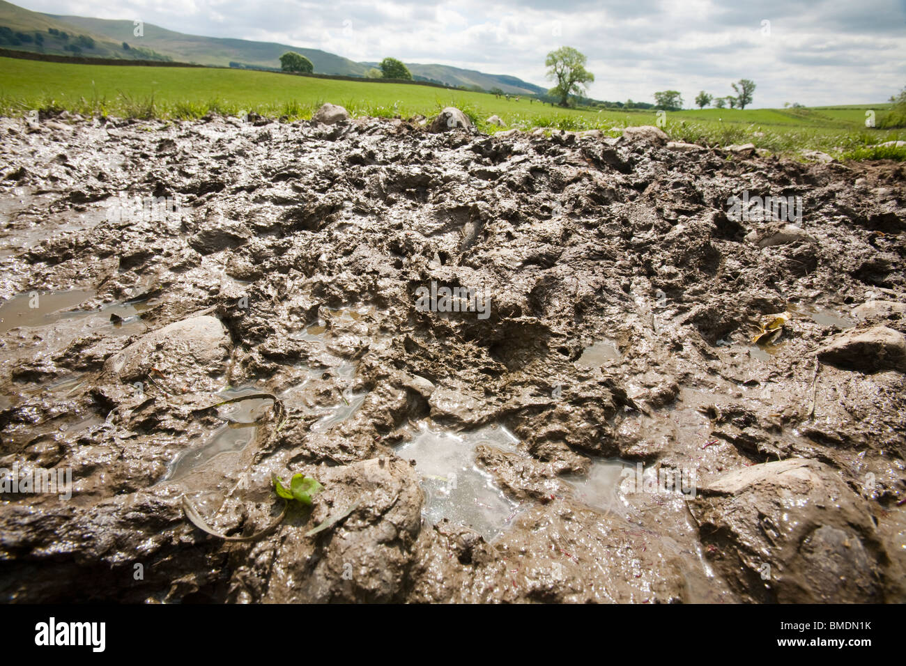Trampled mud hi-res stock photography and images - Alamy