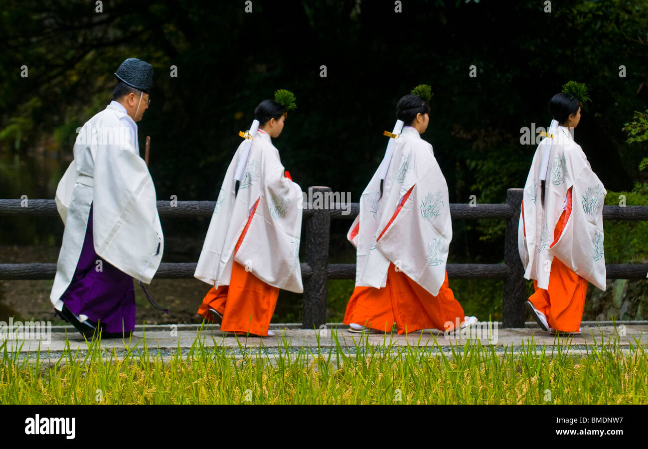 Rice harvest ceremony in Kyoto Japan Stock Photo - Alamy