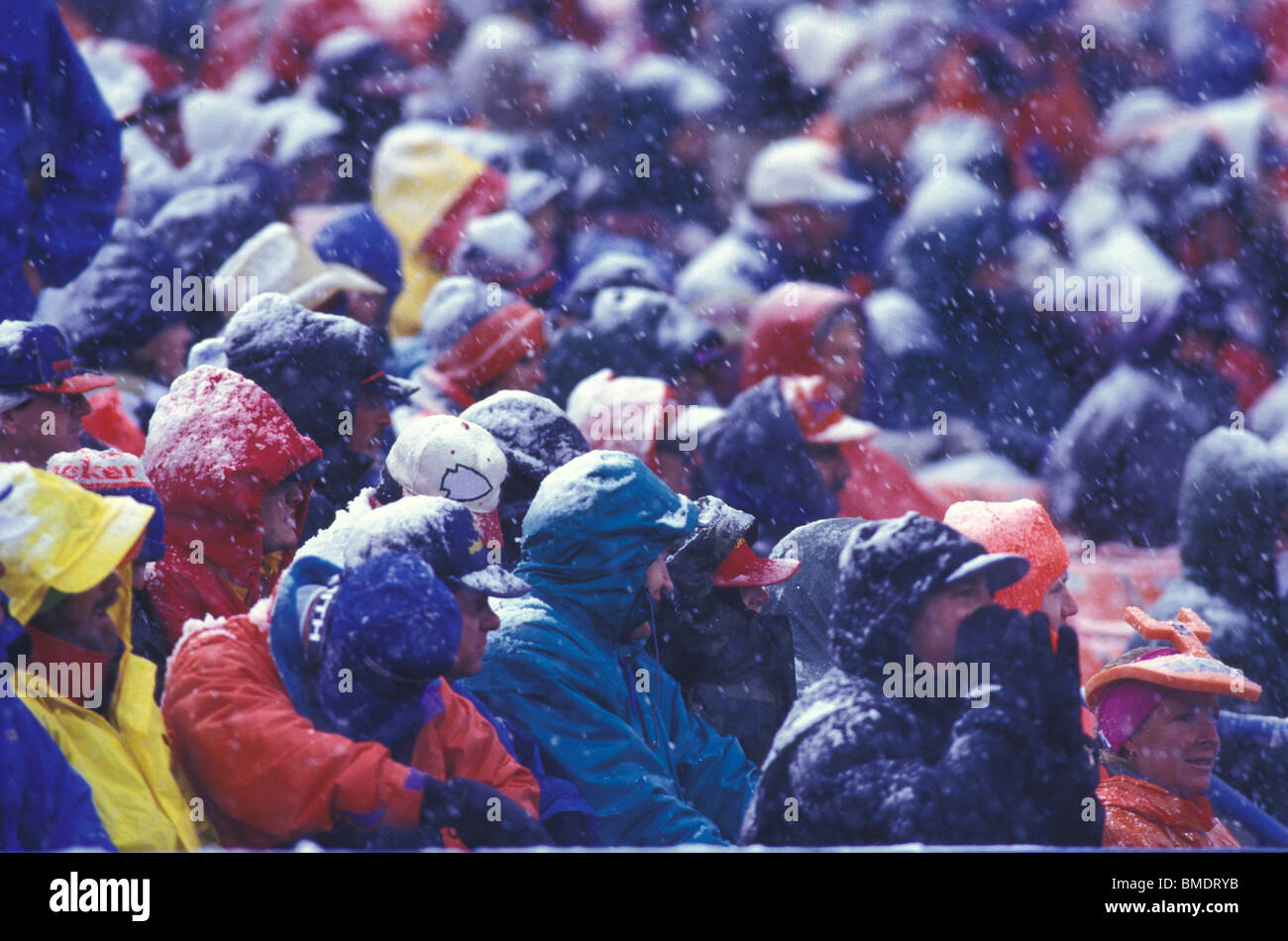 Football crowds crowd fan fans hi-res stock photography and images - Alamy