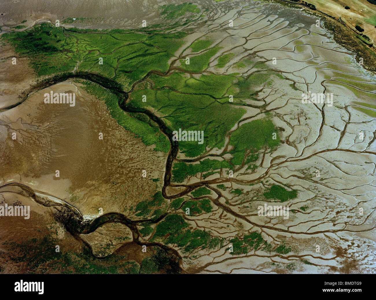 Eden estuary hi-res stock photography and images - Alamy