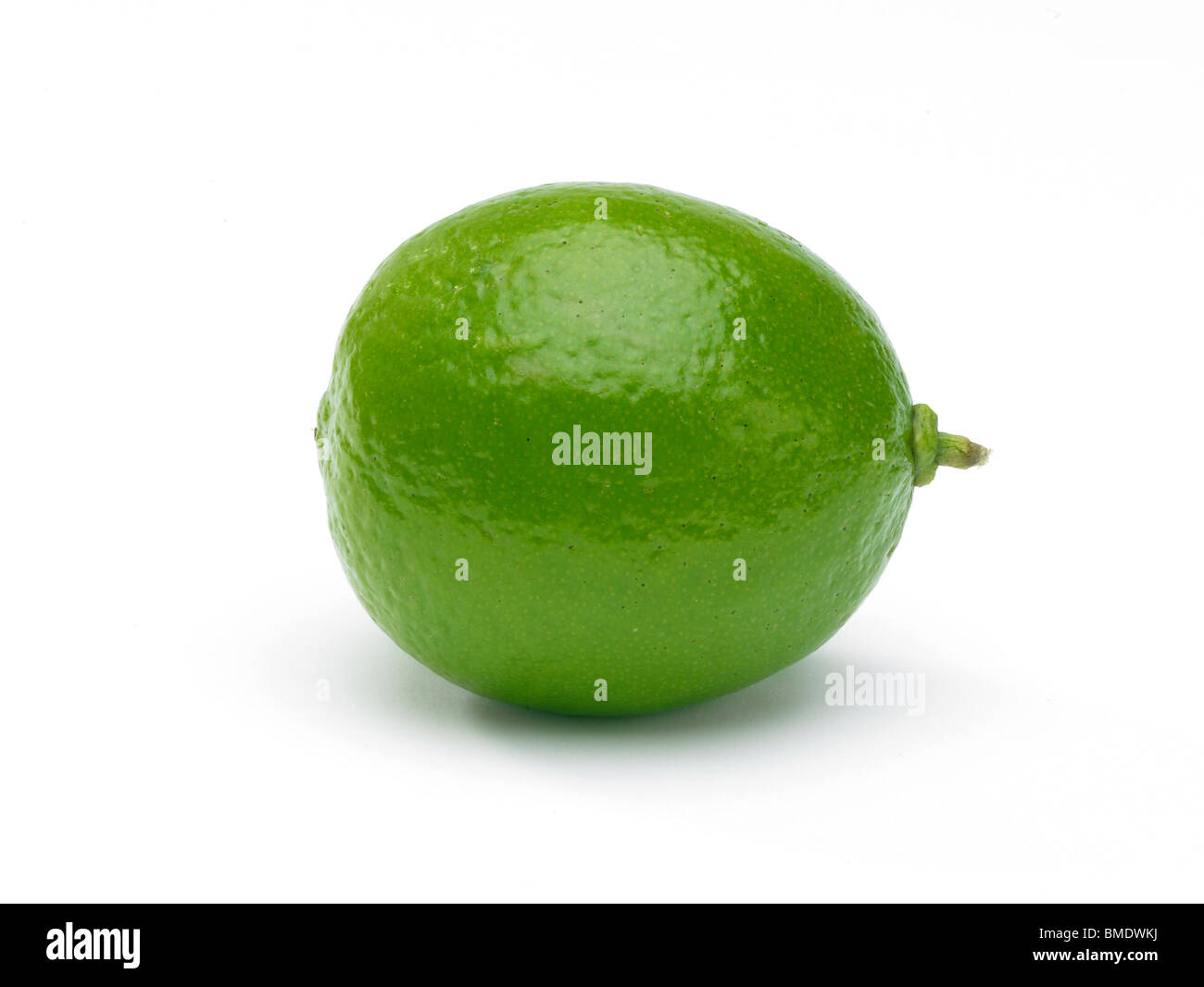 A single whole Lime on white background with drop shadow Stock Photo ...