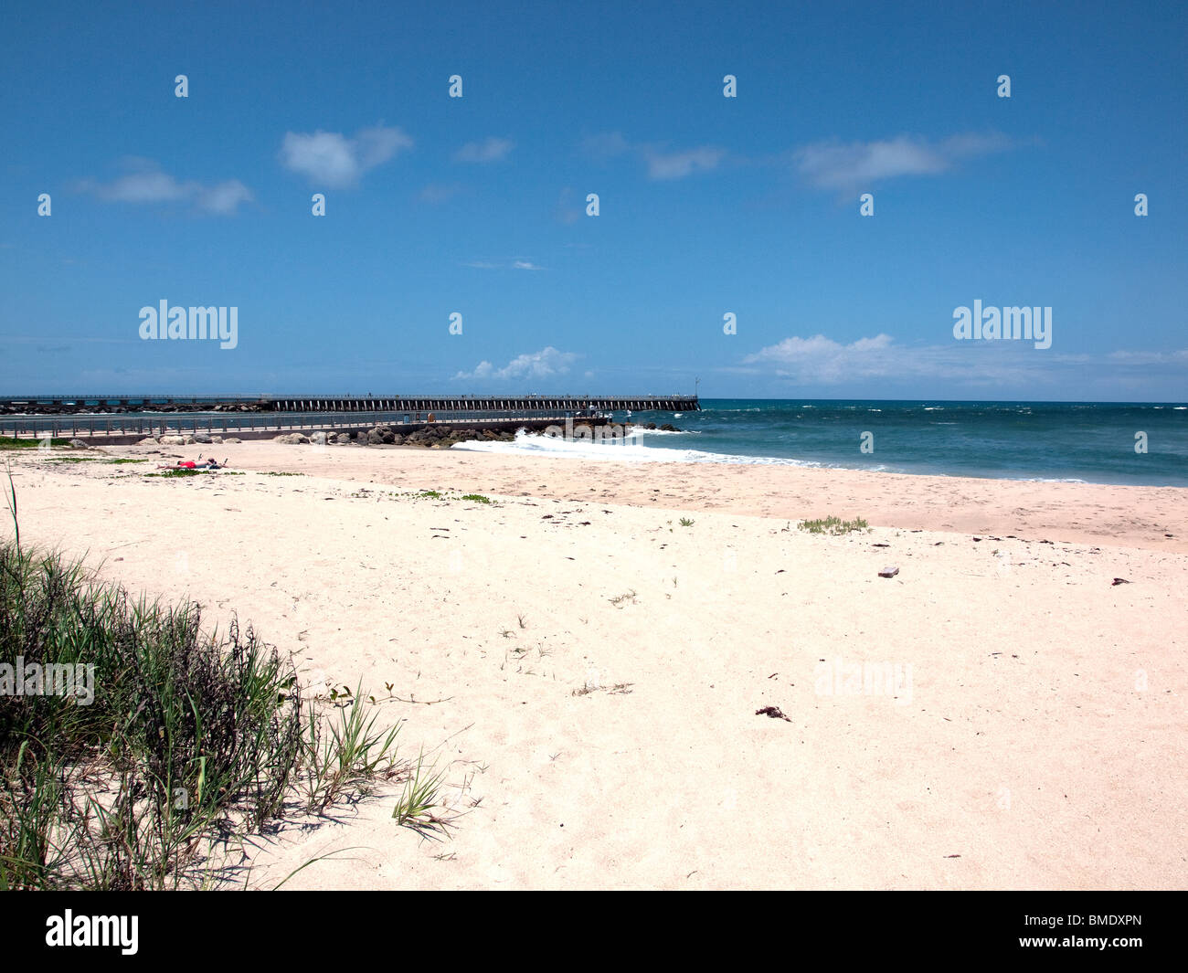 South side of Sebastian Inlet on the Atlantic coast of Florida Stock ...