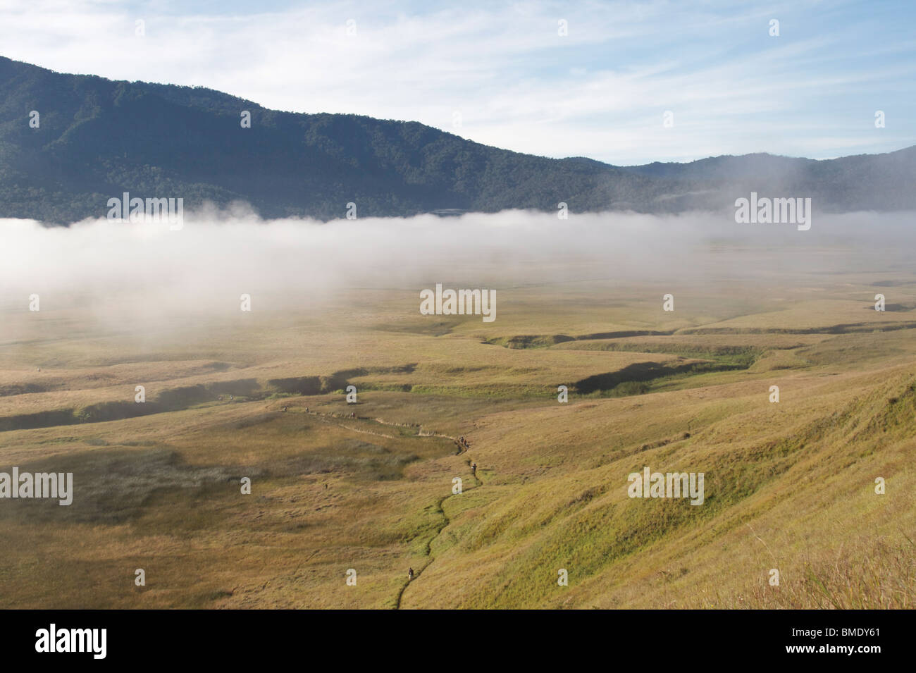 Trekkers cross the Myola basin, along the Kokoda Trail, Papua New ...