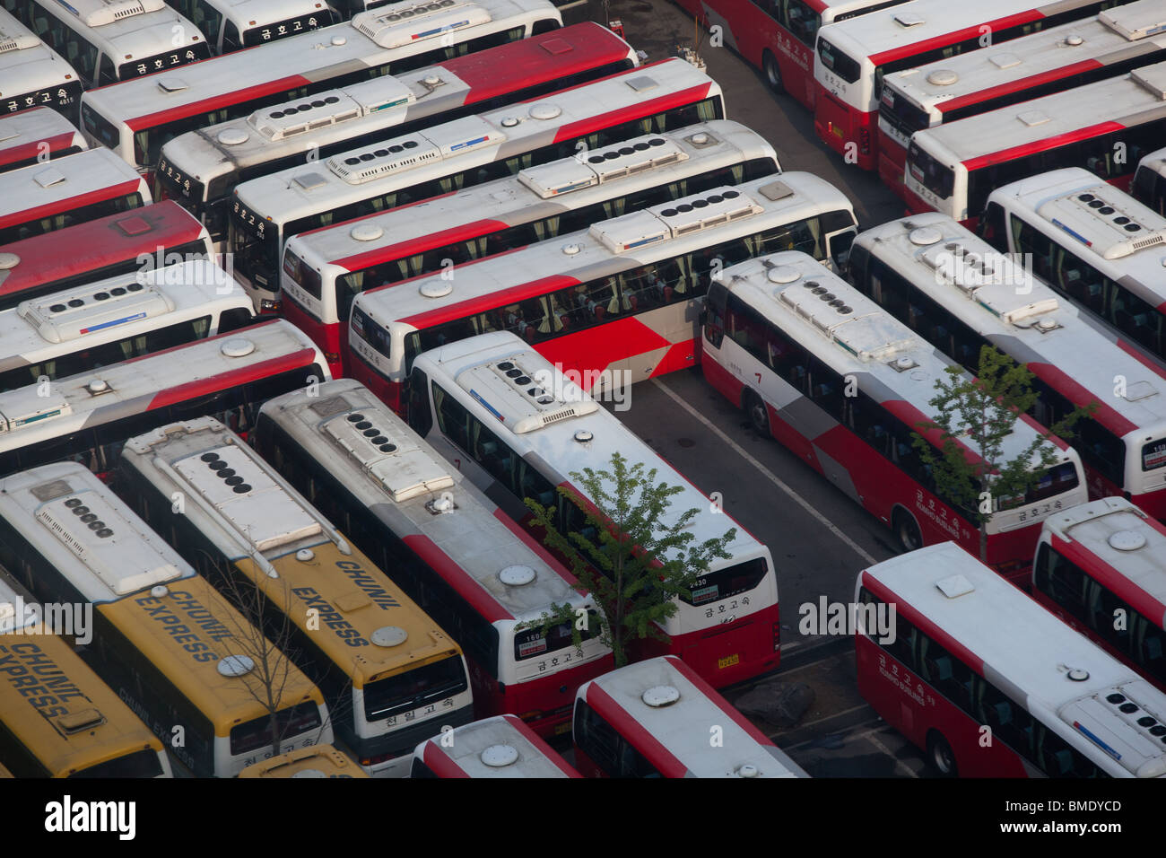 some of the many buses in seoul south korea Stock Photo - Alamy