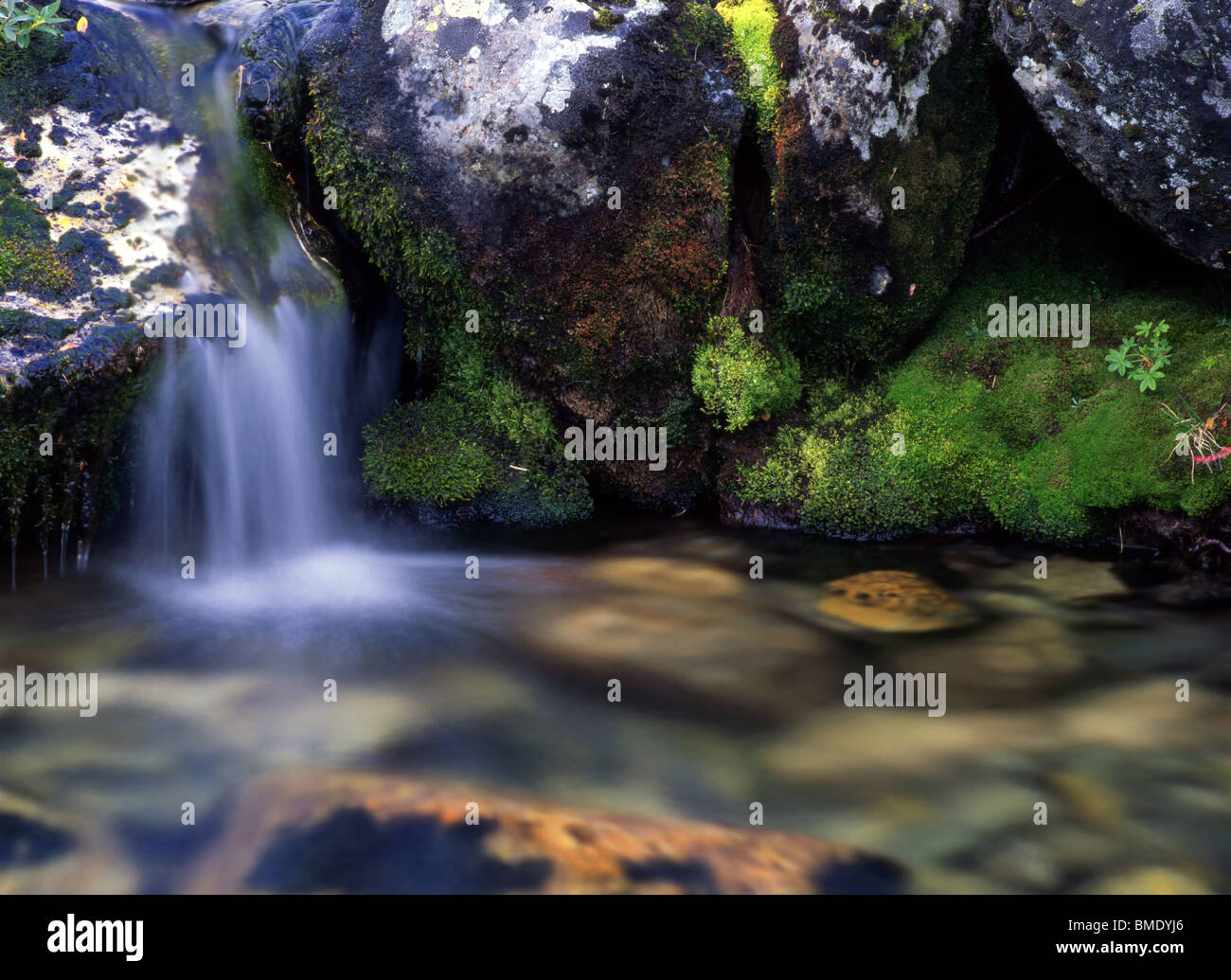 Beautiful flowing water over rocks in forest Stock Photo - Alamy
