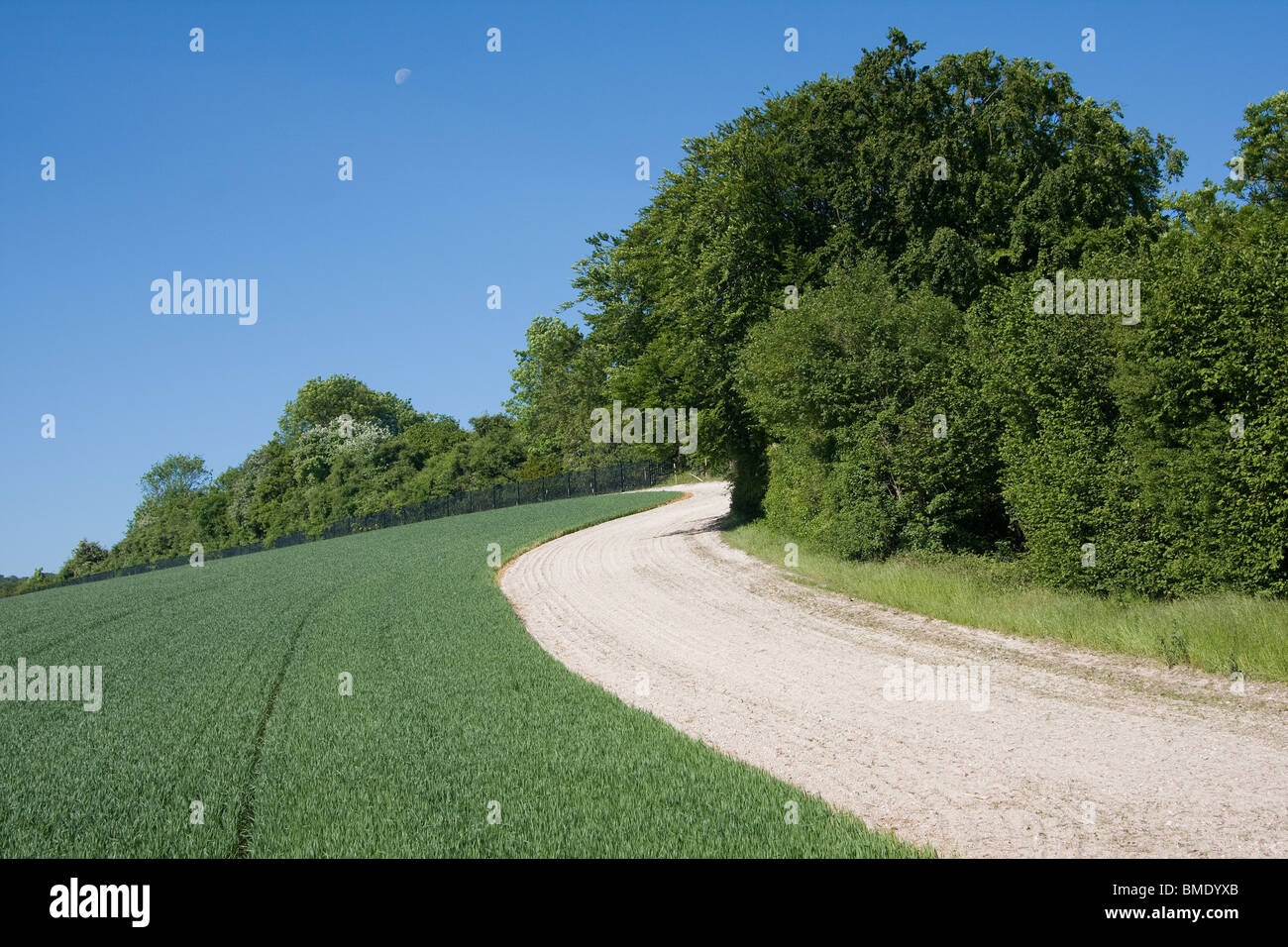 picturesque north kent countryside summer england UK europe Stock Photo ...
