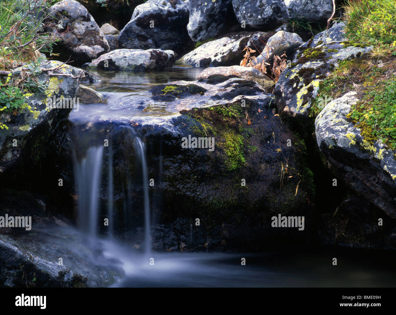 Flowing water over rocks in forest Stock Photo - Alamy