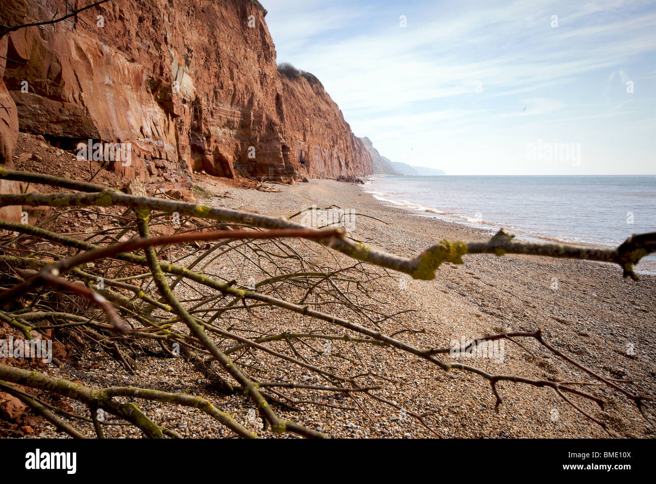 Sidmouth Devon UK Seafront Sea Beach Cliff Fall Stock Photo - Alamy