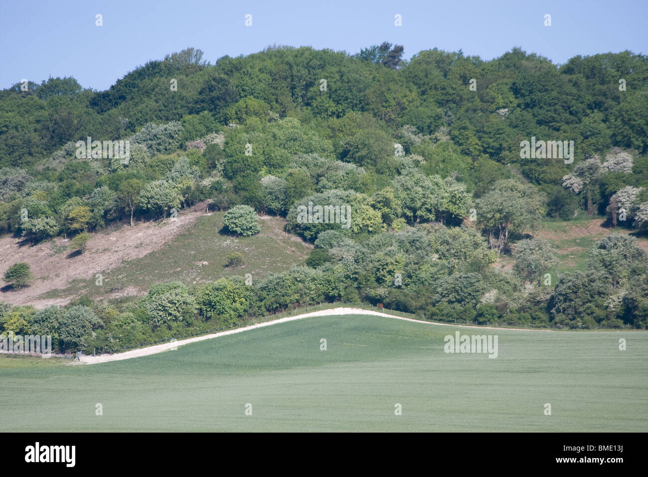 picturesque north kent countryside summer england UK europe Stock Photo ...