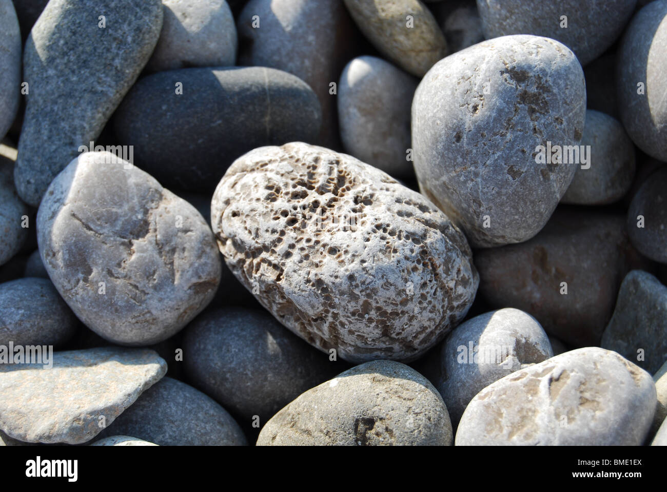 pebbles on the seashore Stock Photo - Alamy