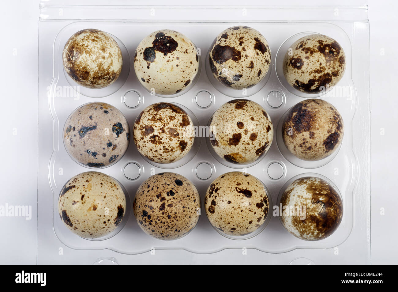 Packet of eggs hi-res stock photography and images - Alamy