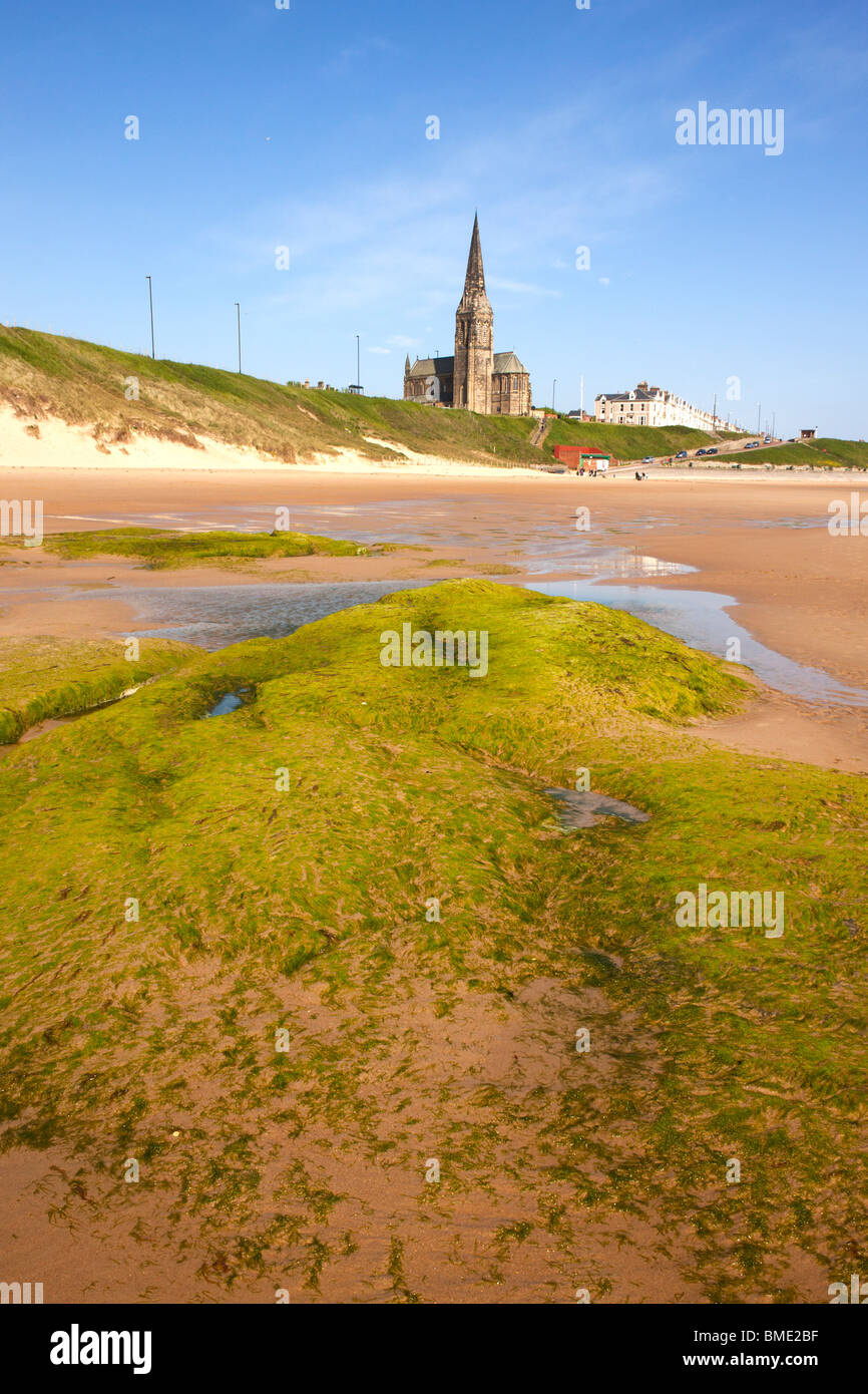 Tynemouth beach hi-res stock photography and images - Alamy