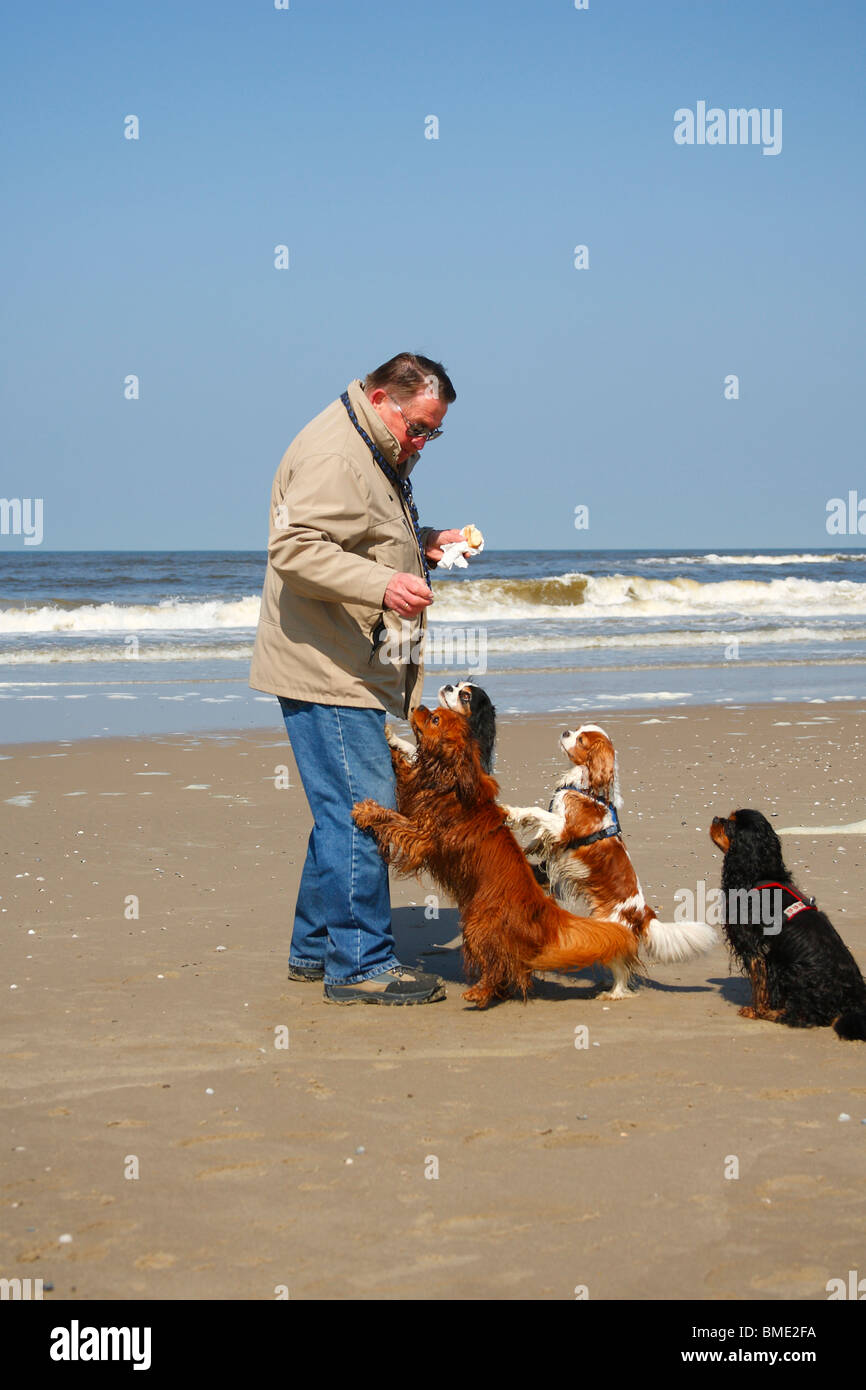 Cavalier man hi-res stock photography and images - Alamy