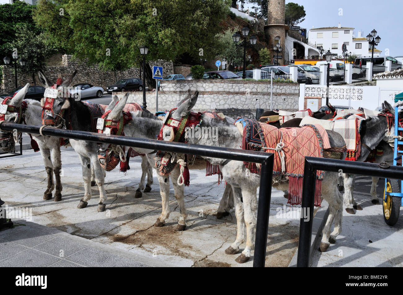 Donkeys wait patiently at the purpose built Donkey Station in the white ...