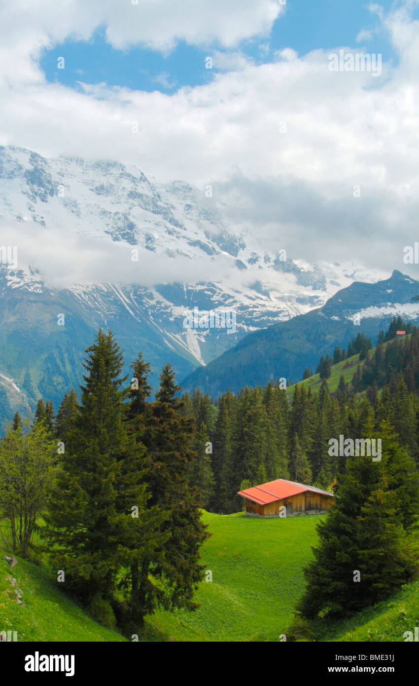 View of a traditional mountain chalet in the Lauterbrunnen Valley ...