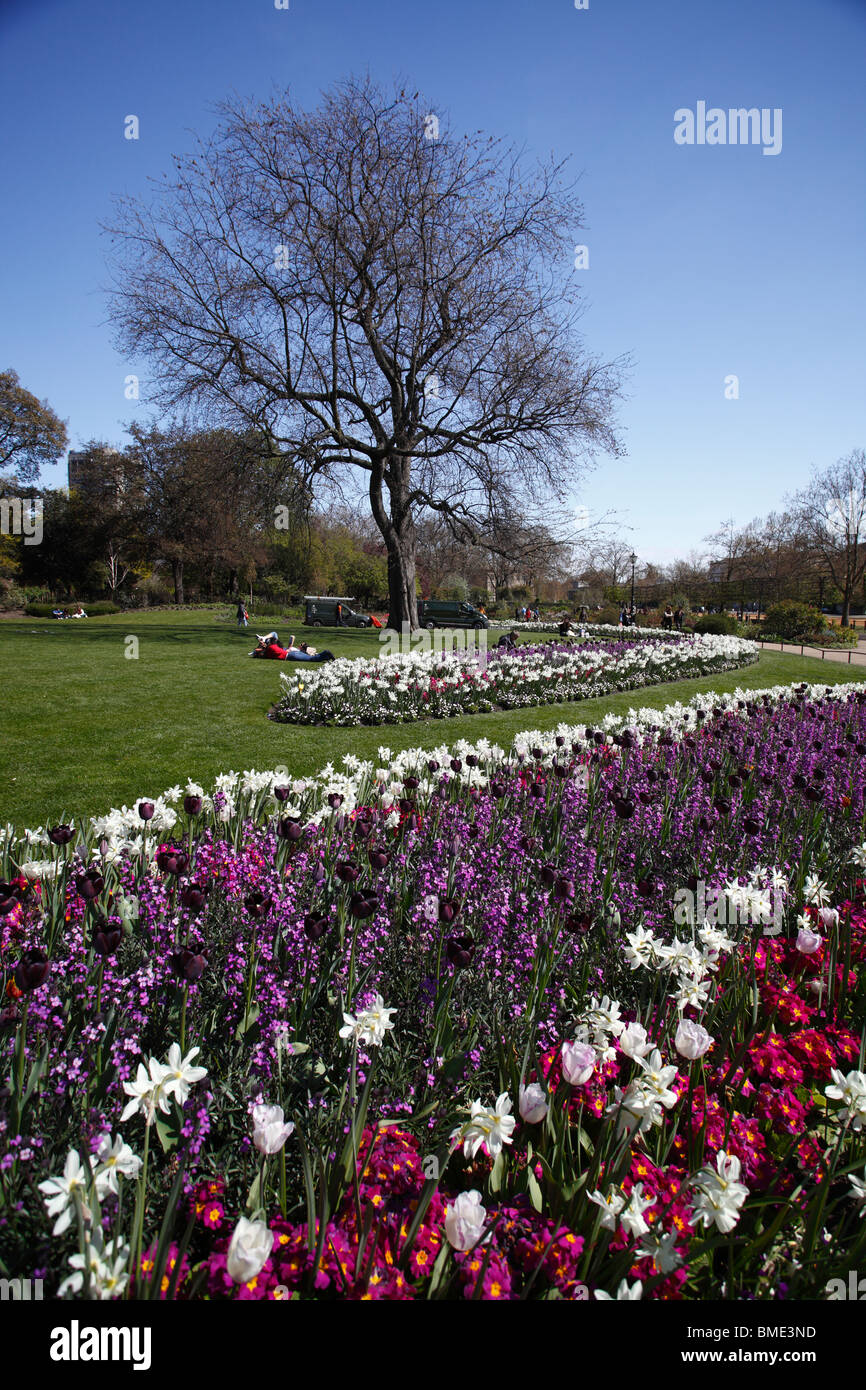 Hyde park london flowers hi-res stock photography and images - Alamy