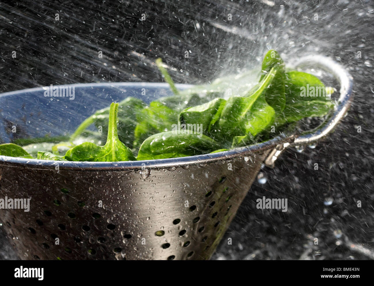 washing organic spinach Stock Photo - Alamy